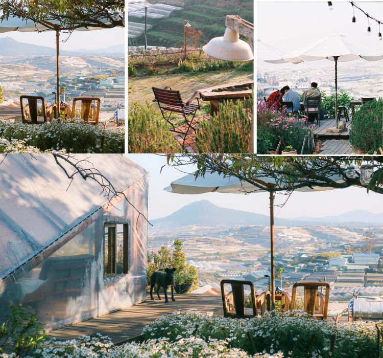 Khám Phá Top 30 Quán Cafe Đà Lạt View Đẹp, Cực Chill Năm 2025 - Chuyên ...